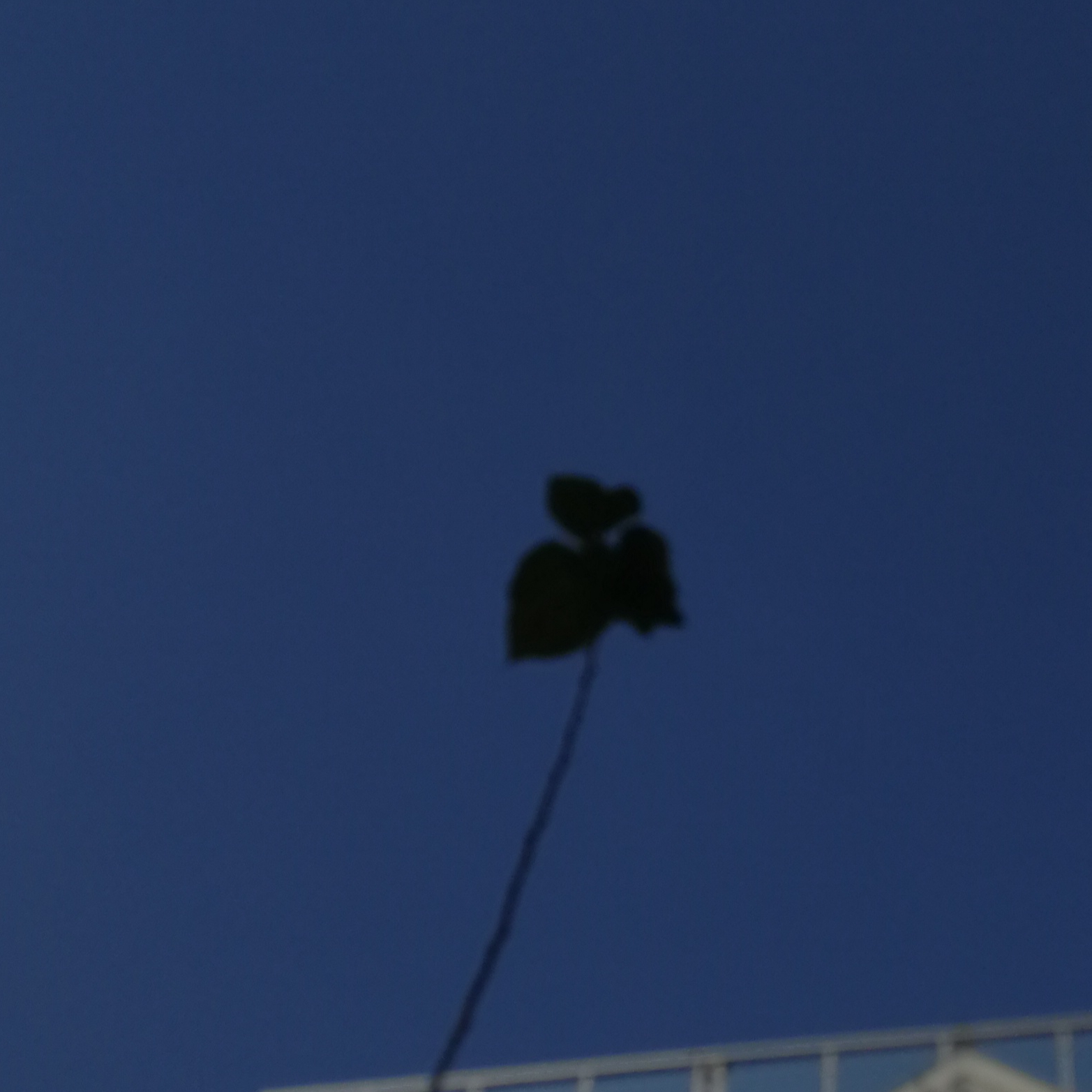 枯枯枯枯枯呀枯 