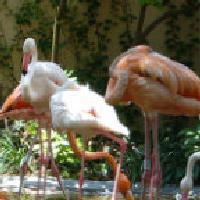 爱笑的眼睛vs冰海 