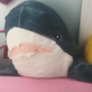 b站二极管回收部 