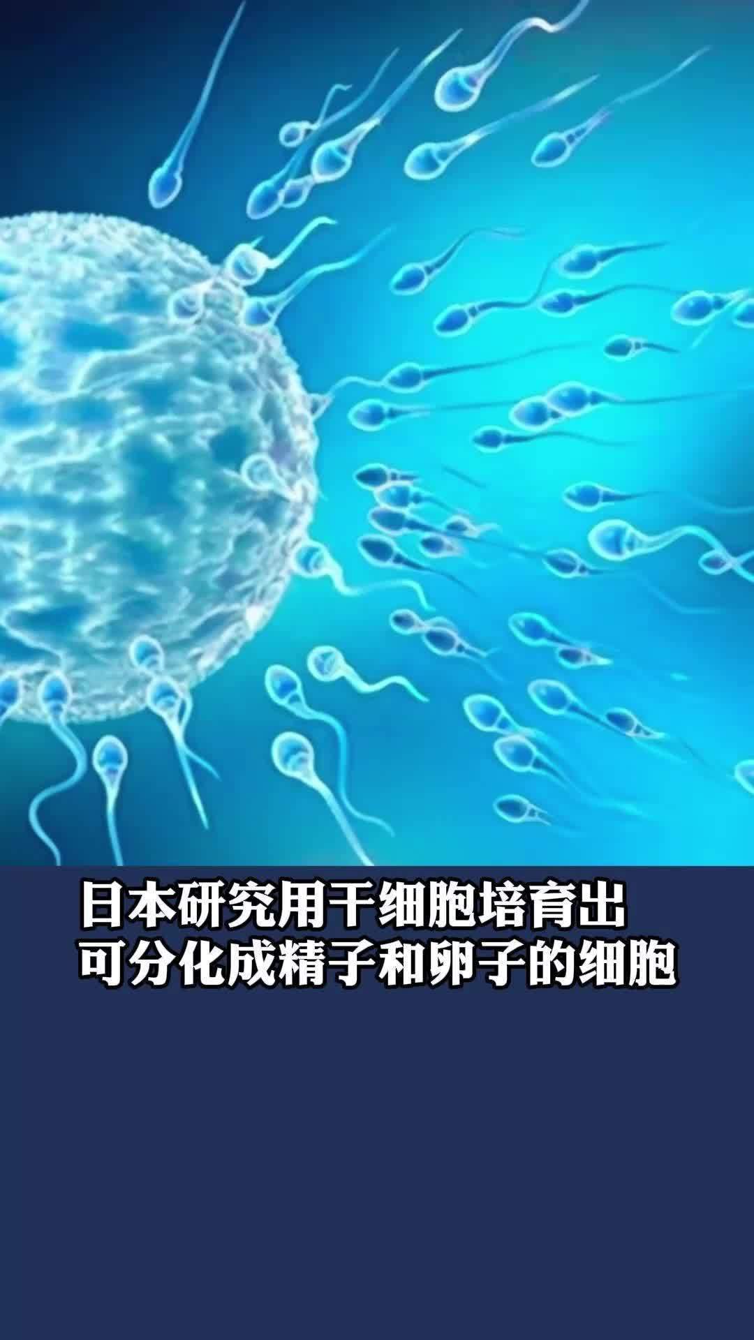 日本研究用干细胞培育出可分化成精子和卵子的细胞。