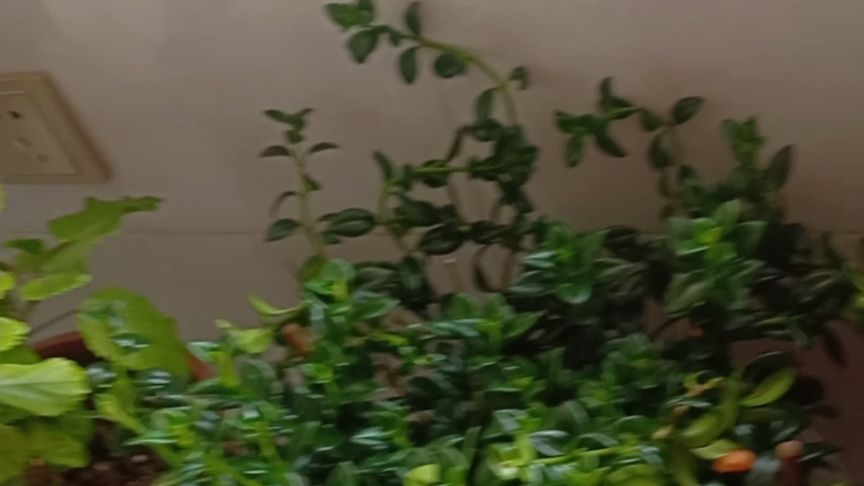 民生银行信用卡