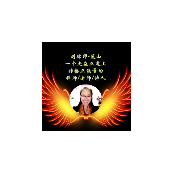 刘律师81184 