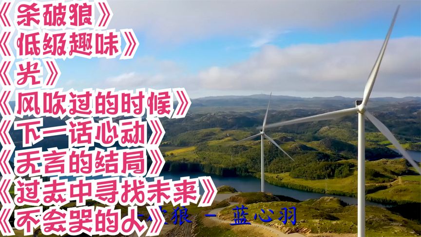 杀破狼,低级趣味,光,风吹过的时候,下一话心动,无言的结局
