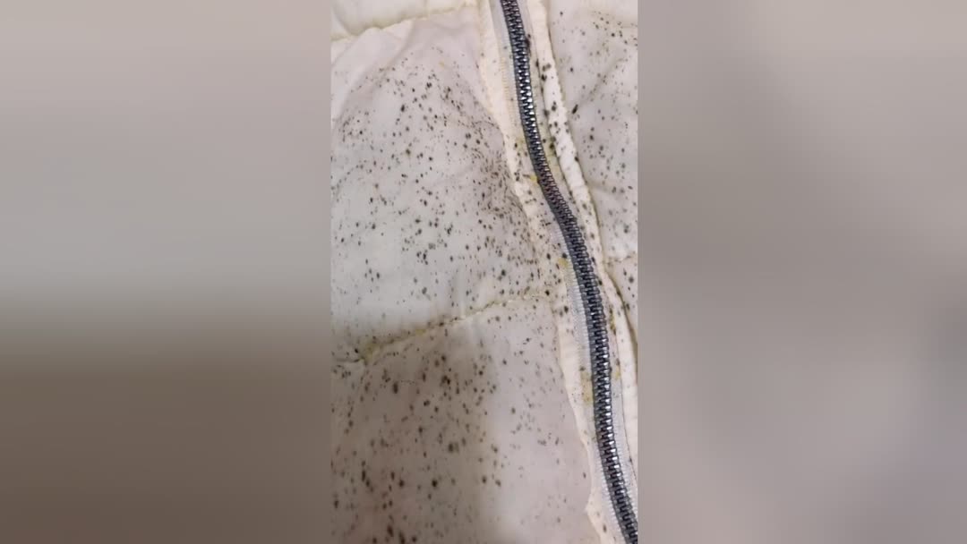 全中国都讨厌的回南天,衣服发霉确洗不掉,今天教大家发霉怎么洗,有了...