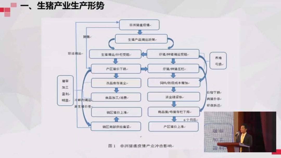 未来两年猪肉供需仍呈现紧平衡?看专家如何分析生猪产业行情