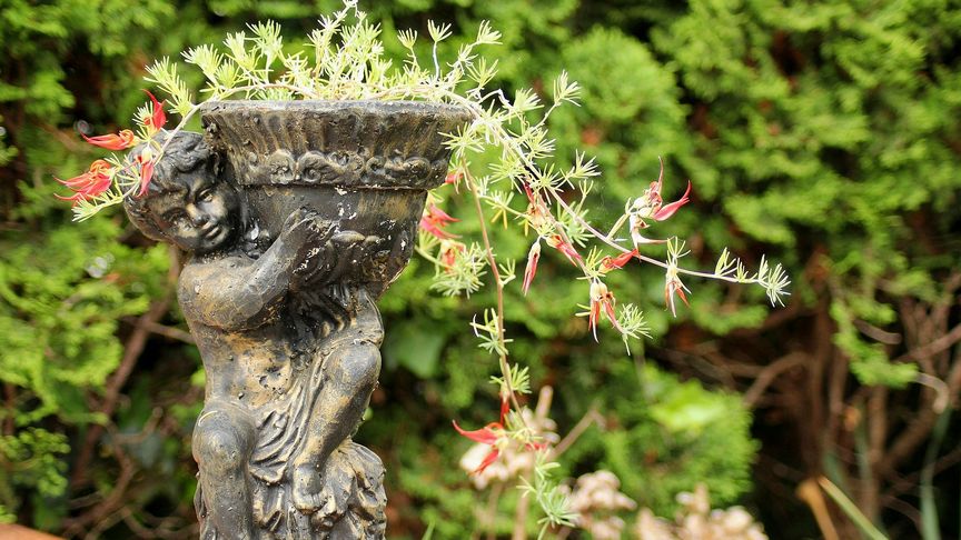 用废旧塑料管制作一个小型花坛,看这成品还挺不错,长见识了