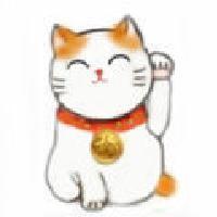 游凯岚 