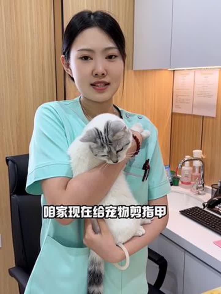这家宠物医院细节服务做的太到位了!#萌宠 #铲屎官的乐趣