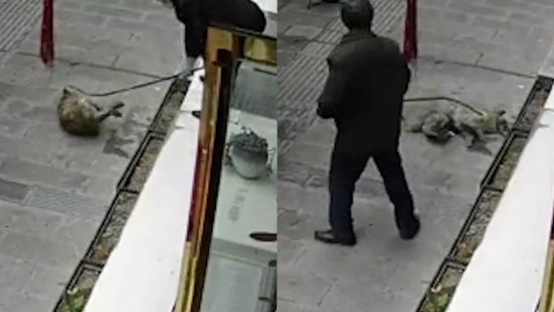 残忍!男子扛铁棍连打狗子6棍,狗主人看监控揪心报警