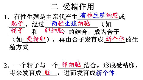 减数分裂受精作用书后习题评析受精作用学历案