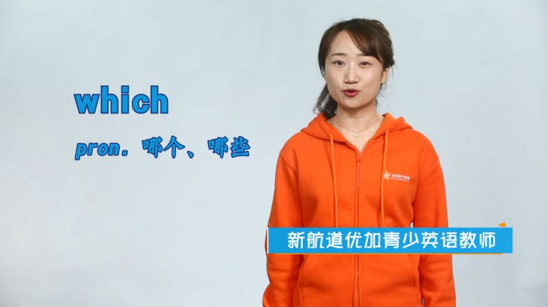 which是什么意思?