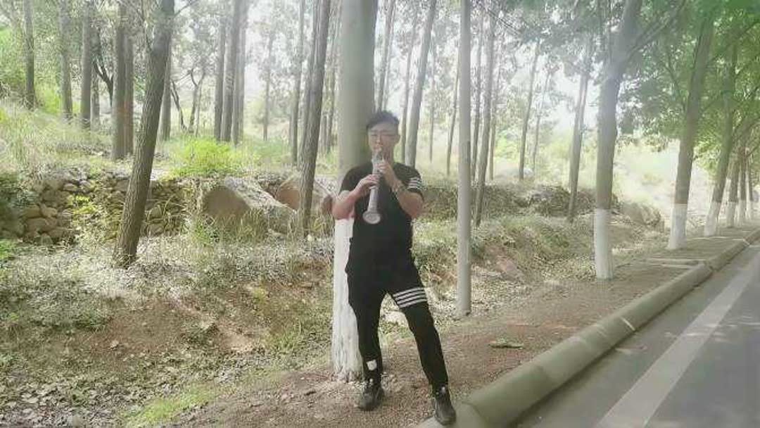 电吹管免费教学包教包会盛世八音电吹管望春风太好听了