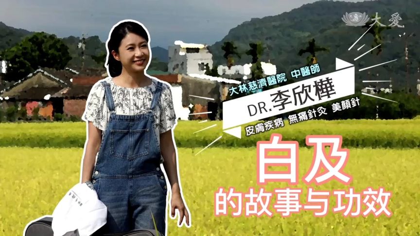 白及的故事与功效