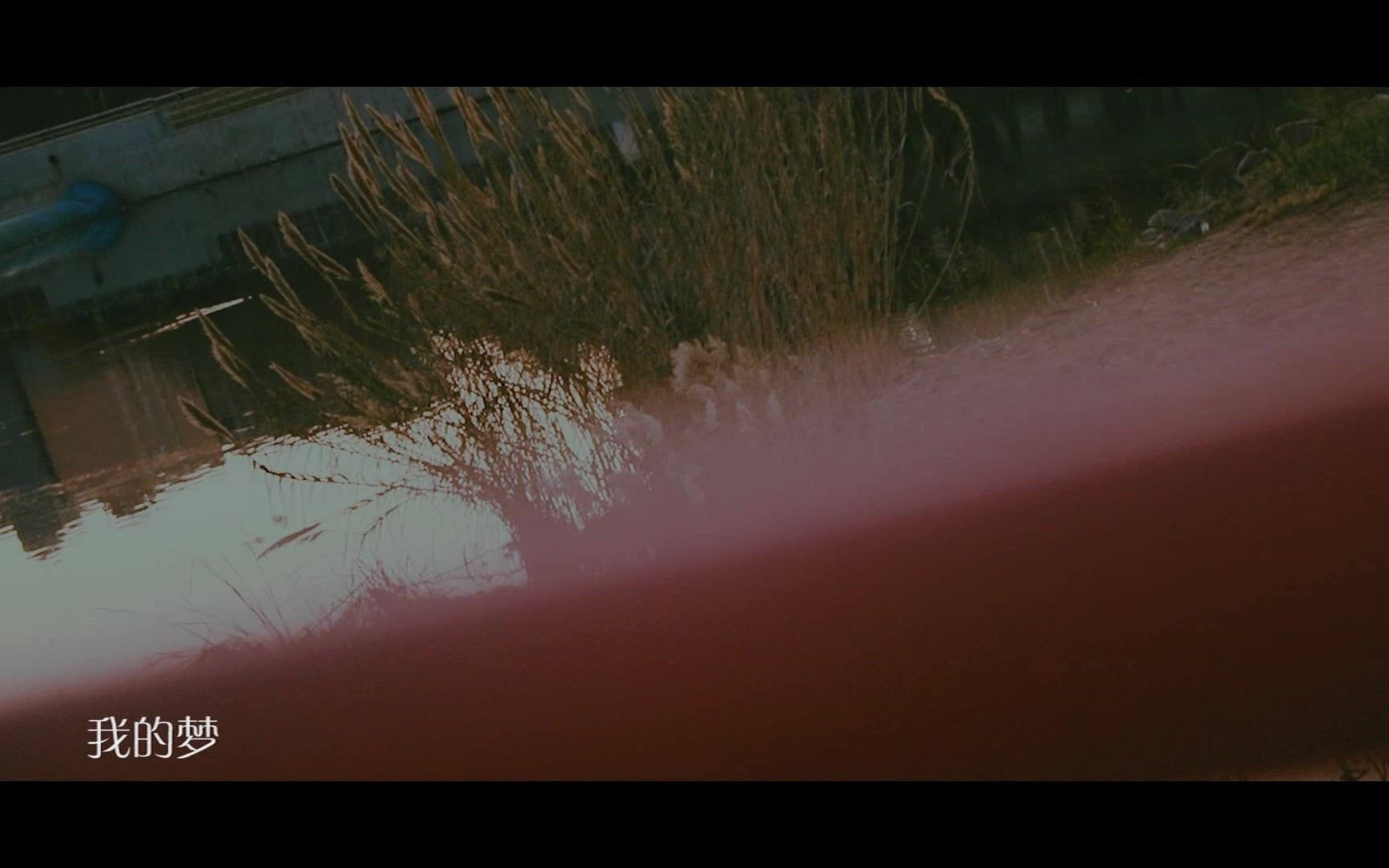 《我的梦》自制MV 大学生期末作业