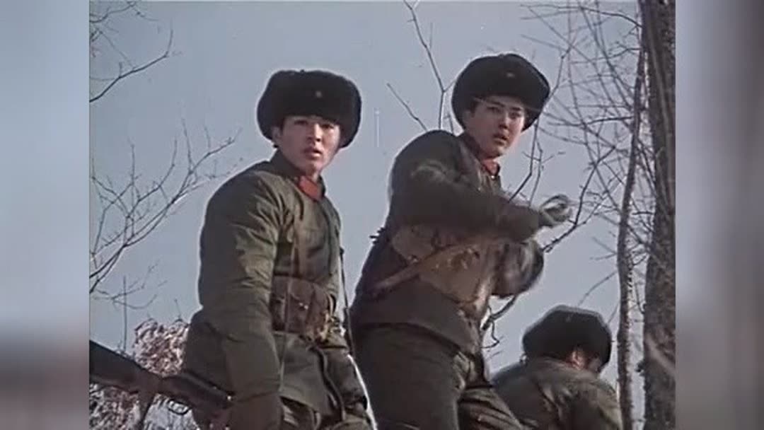 白桦林中的哨所