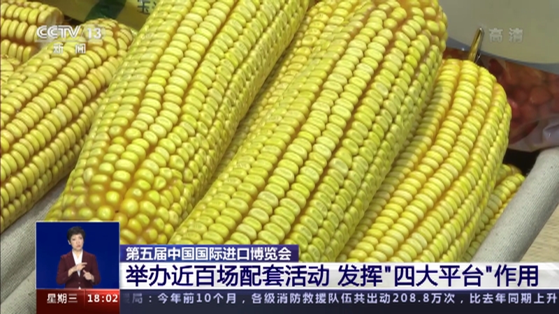 [共同关注]第五届中国国际进口博览会 举办近百场配套活动 发挥“四大...