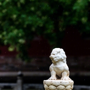 卢同学的高考化学课堂 