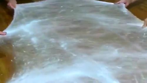 人合力拉制蚕丝被,把蚕丝棉片硬生生拉成丝线,看着都让人舒服