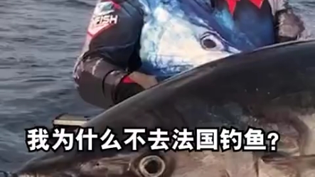 咚咚咚咚咚?钓鱼老哥狂喜