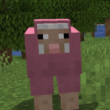 优质的村民放技能 