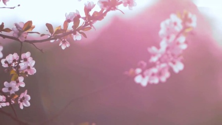 华硕(ASUS)玩家国度ROG PNK樱花粉晶色可爱女生台式机PC电脑...