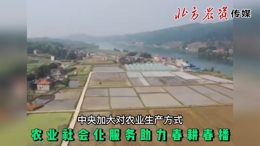 以社会化服务推动农业现代化发展,提升春耕质量