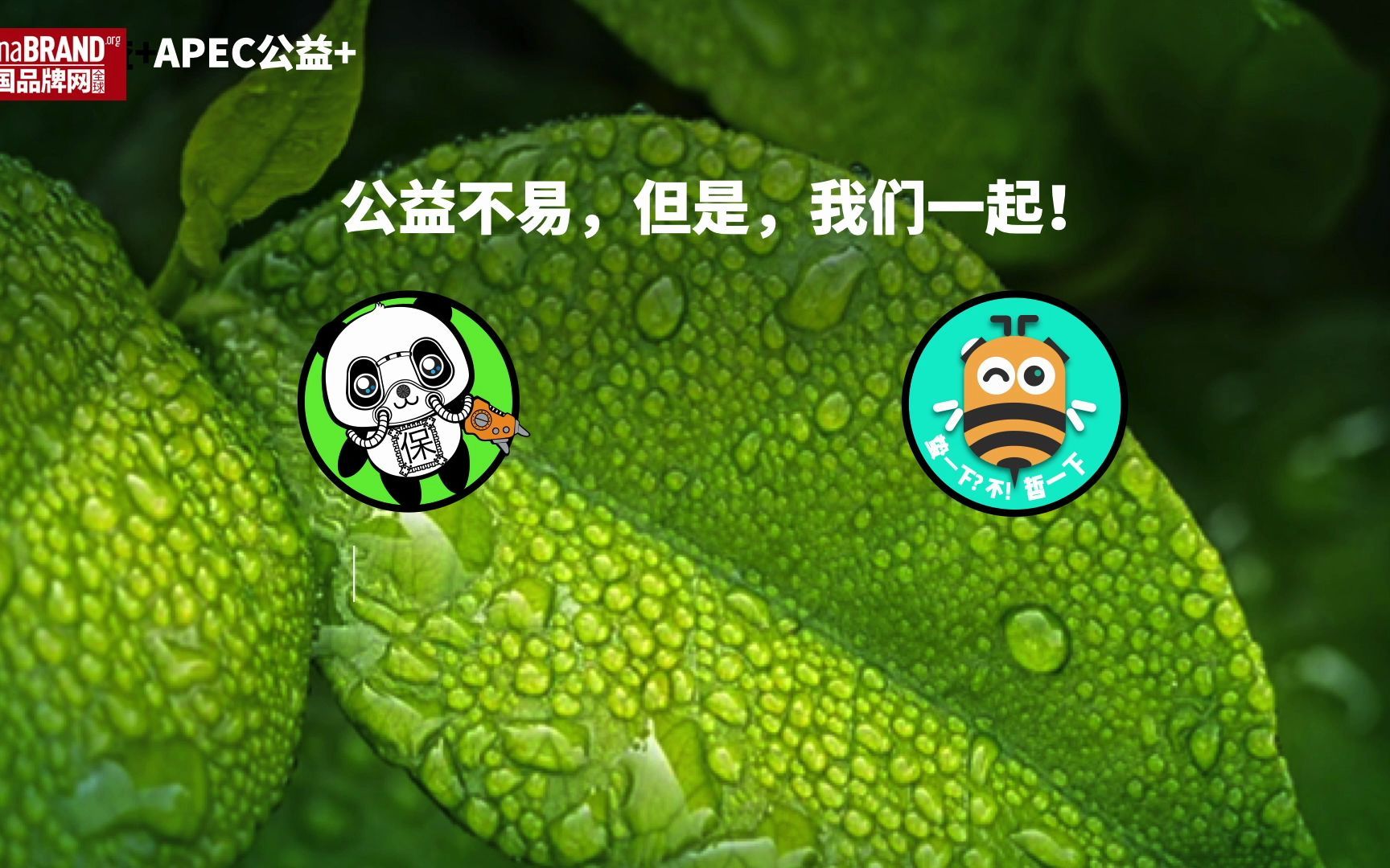 「设计师宇宙」2022最新VIS出炉 | APEC设计规划+ | 亚太融媒 | 中国...