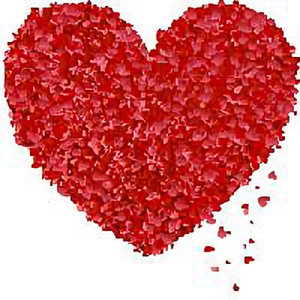 血液与医学咨讯 