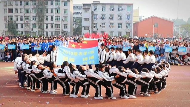 运动会开幕式#开幕式