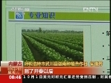 [视频]大秋收·内蒙古土豆调查报告:信息范围窄 农户判断难