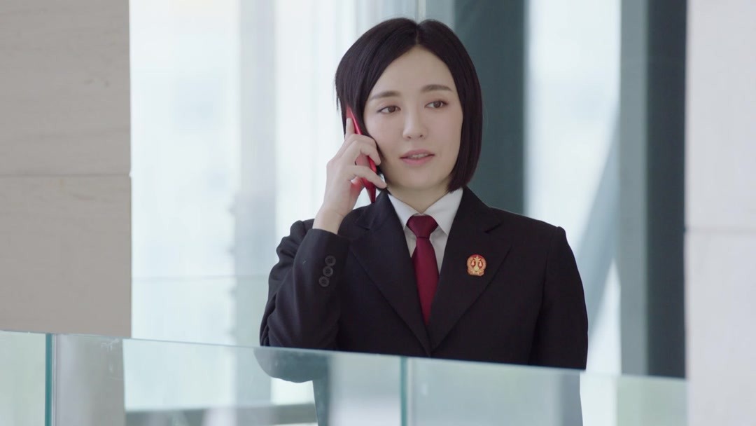 执行利剑第17集