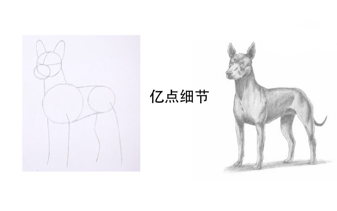 新手有什么简单易懂的画狗大法吗?看看这个
