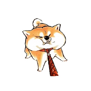 进口记录簿 