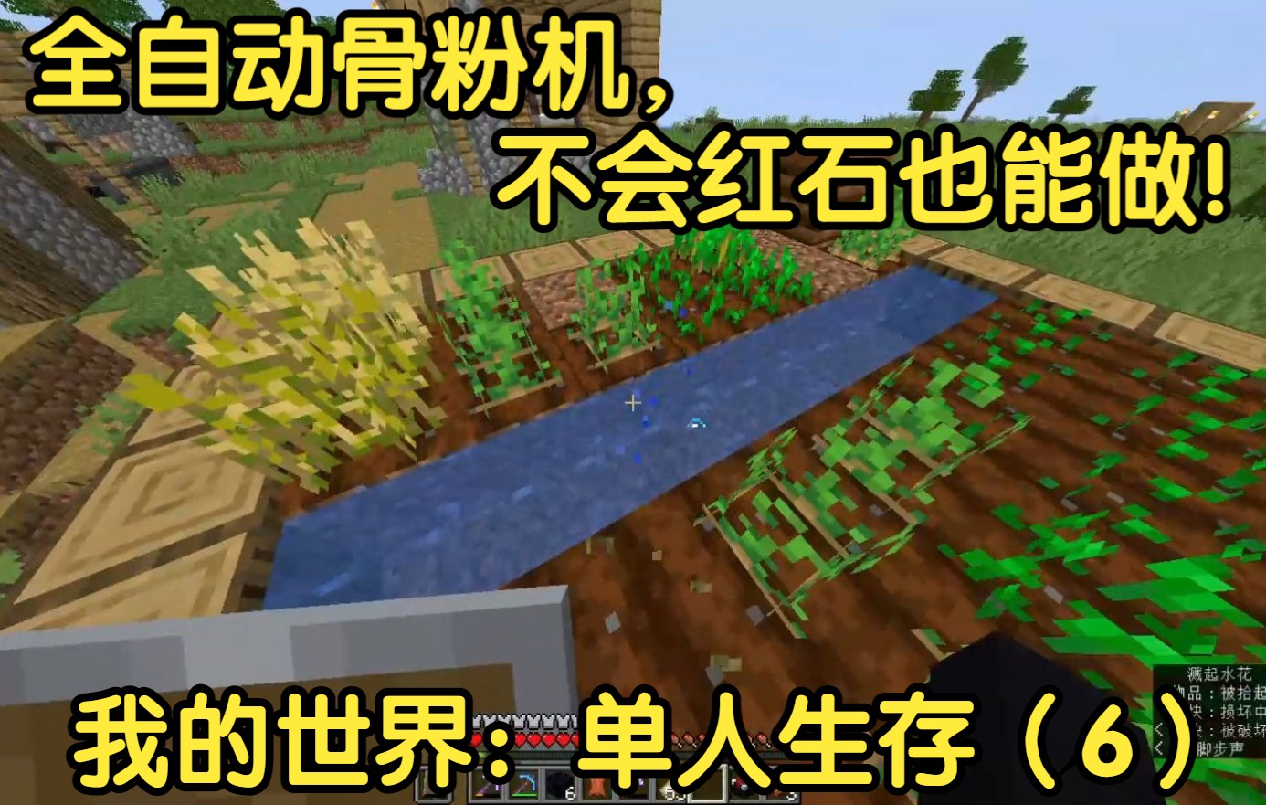 我的世界:单人生存(6)全自动骨粉机,不会红石也能做!