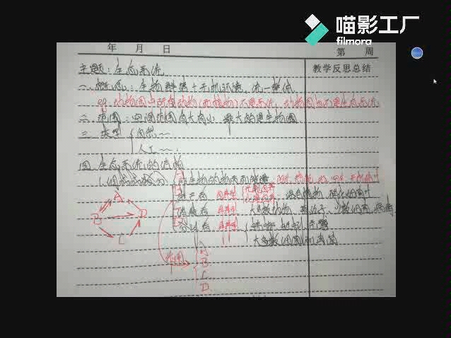 生态系统的结构课堂小结