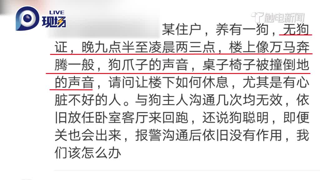不文明养狗引发全国7千余起伤人事件!“狗叫扰民”引发血腥惨案