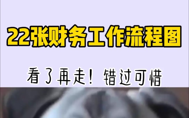 22张财务工作流程图,快看有多少你不知道的?