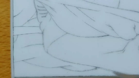 【橡皮章】新手简短的第一个视频