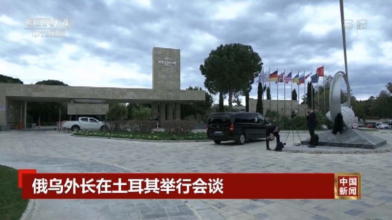 [中国新闻]俄乌外长在土耳其举行会谈