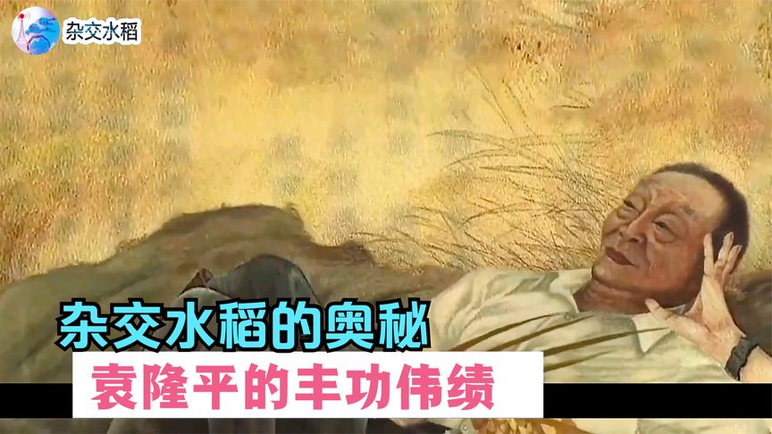 杂交水稻究竟有多厉害?2分钟快速回顾袁隆平伟大的一生!