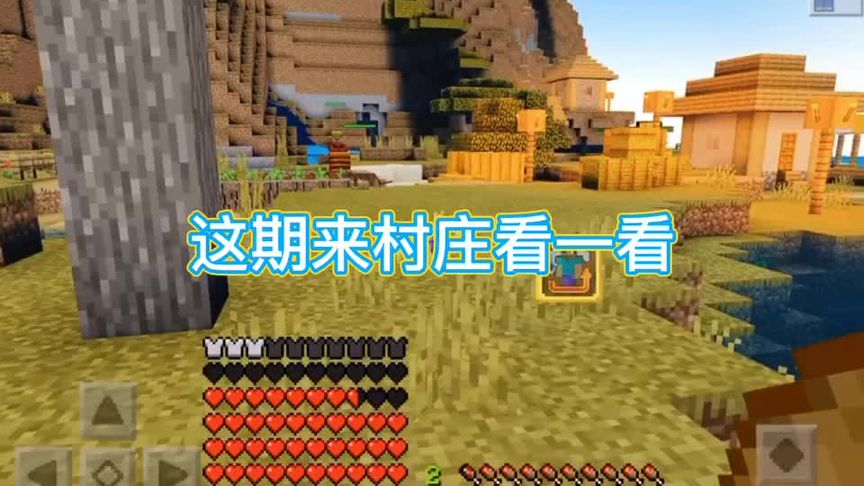 变形系列第四期#我的世界