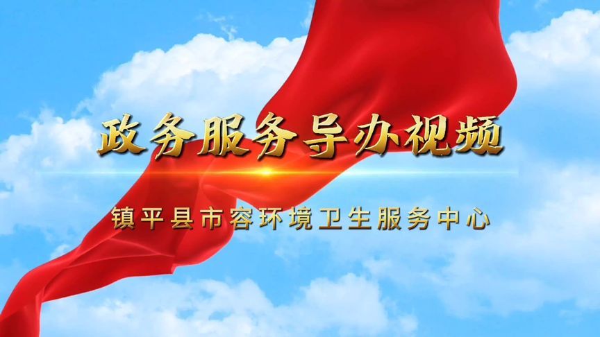 镇平县环卫服务中心政务服务导办视频 #如花似玉锦绣镇平