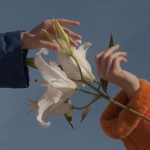 九号的酒窝有酒 