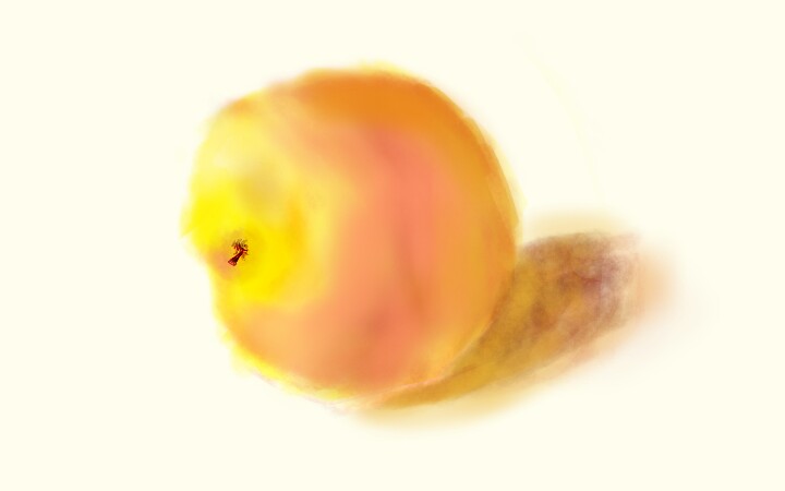 自动铅笔画素描:苹果