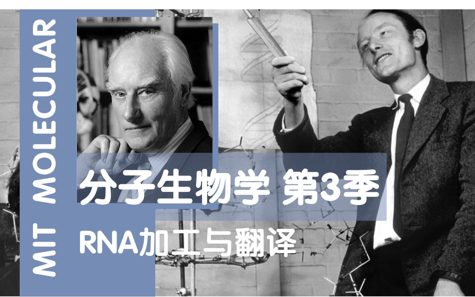 MIT分子生物学 第3季 RNA加工与翻译