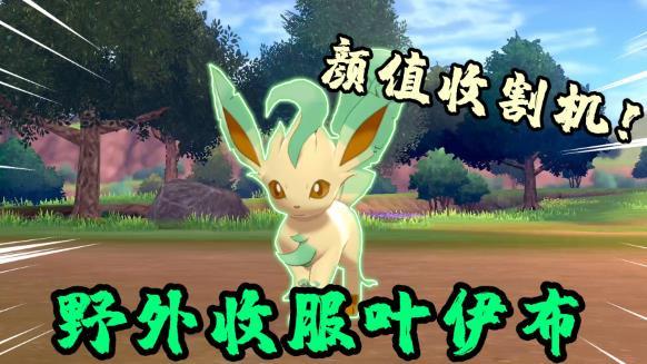 宝可梦剑盾:得到太阳伊布后,我在野外遇到了它的兄弟叶伊布