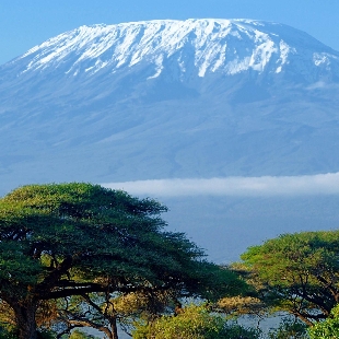 奥林匹斯--正义联盟 