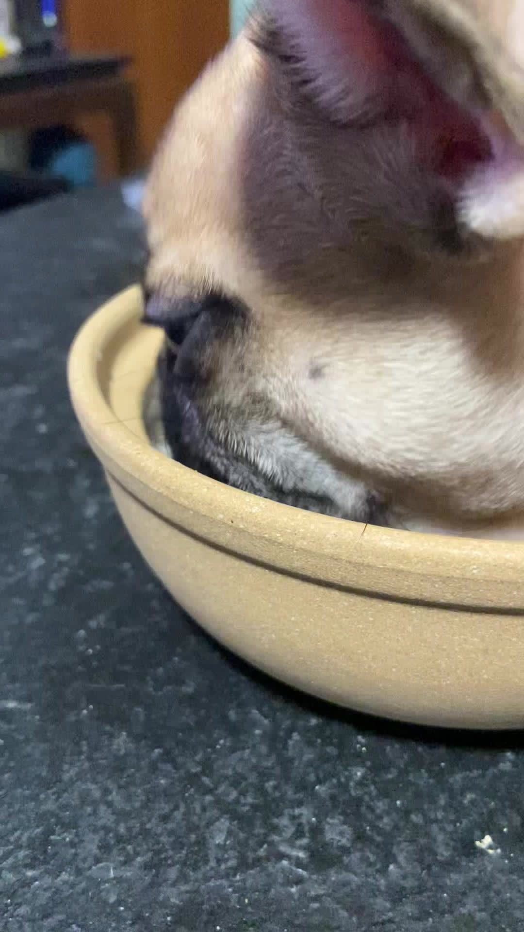 去吧!皮卡丘!特调"珍珠奶茶"