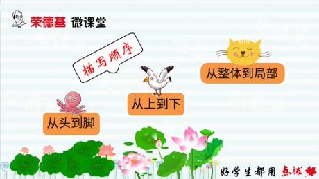 荣德基微课堂语文二年级(上)小蝌蚪找妈妈:按顺序描写动物的外形
