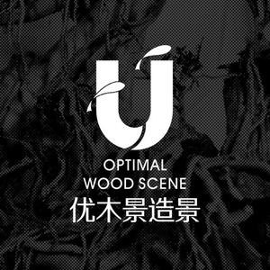 优木草缸造景 